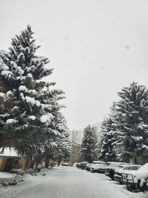 FALCON POINT BY EAST WEST HOSPITALITY - Updated December 2025 - 46 ...