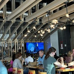 SLURPING TURTLE - Updated October 2025 - 743 Photos & 463 Reviews ...