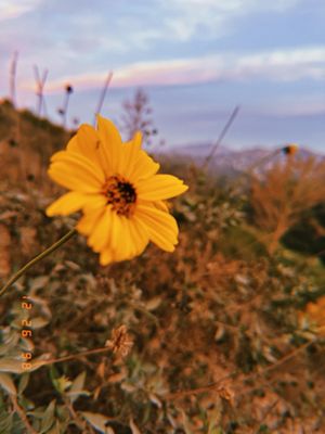 FRYMAN CANYON PARK - Updated June 2025 - 312 Photos & 117 Reviews ...