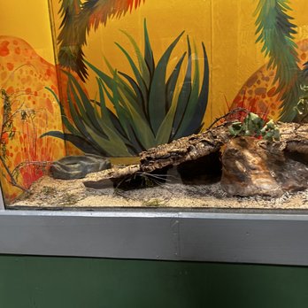 CALM ZOO - Updated December 2024 - 464 Photos & 162 Reviews - 10500 ...