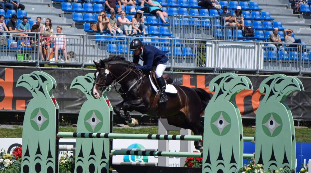 JM EQUINE - Updated February 2026 - Langley, British Columbia ...