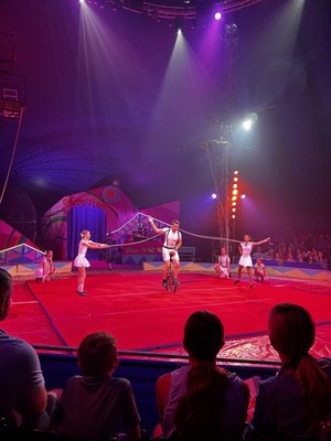 CIRCUS FLORA - Updated December 2025 - 67 Photos & 31 Reviews - 3401 ...