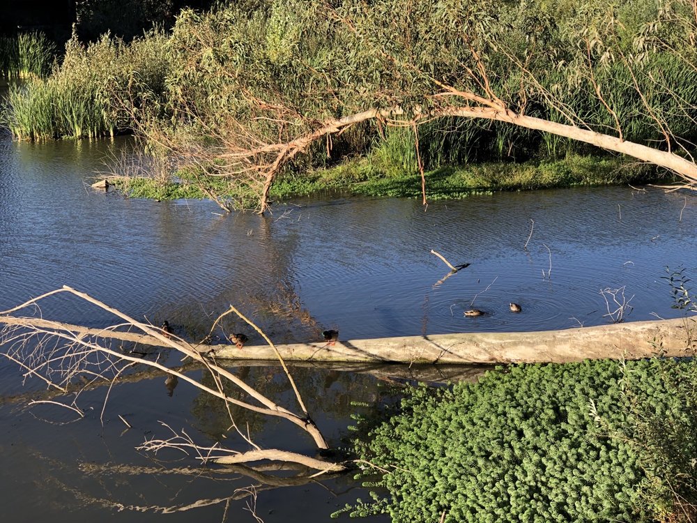 DON CASTRO REGIONAL RECREATION AREA - 329 Photos & 72 Reviews - Parks ...