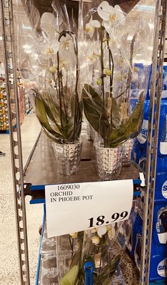 COSTCO WHOLESALE - Updated January 2026 - 81 Photos & 84 Reviews - 1718 ...