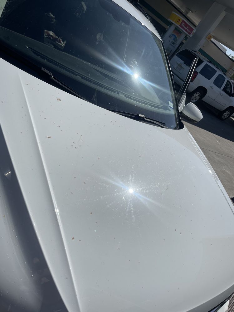 PLAZA SHELL AND FOOD MART - Updated July 2025 - 20 Reviews - 1649 41st ...