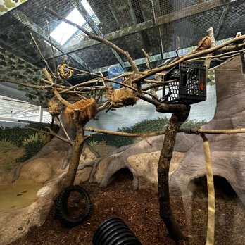 CAPRON PARK ZOO - Updated November 2025 - 223 Photos & 98 Reviews - 201 ...