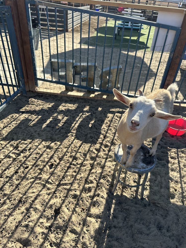 BARBER FAMILY FARM - 276 Photos & 29 Reviews - 354 B East Ave G-6 ...