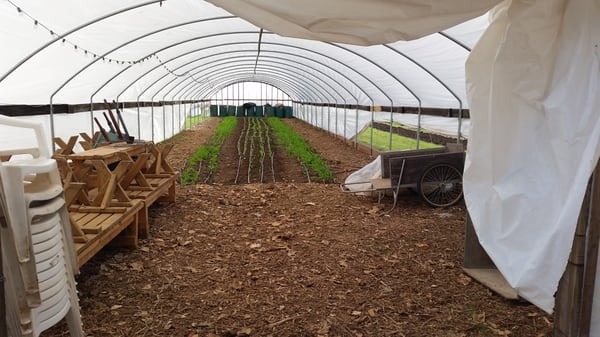 URBAN ROOTS FARM - Updated August 2025 - 67 Photos - 7651 Delwau Ln ...