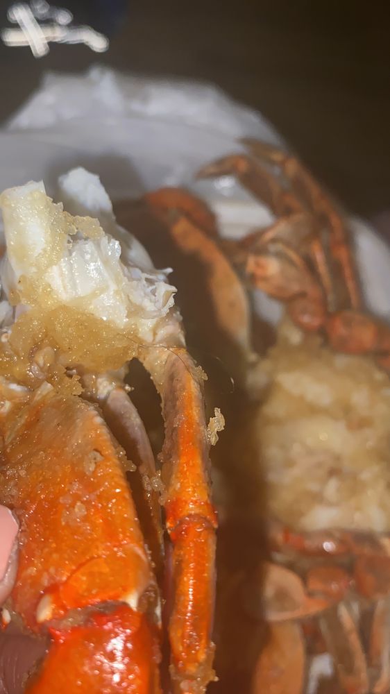 GREAT CHOW - Updated December 2025 - 155 Photos & 193 Reviews - 1302 ...