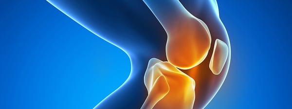 ANDREW ROKITO, MD - Updated January 2026 - 20 Reviews - 333 E 38th St ...