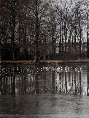 WILLOWBROOK PARK - 82 Photos & 15 Reviews - 1 Eton Pl, Staten Island ...