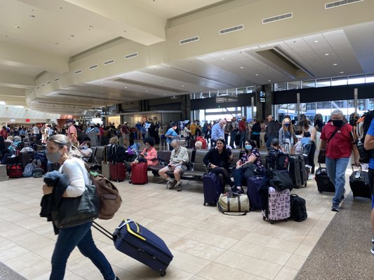 FOX RENT A CAR - Updated April 2025 - 191 Photos & 1191 Reviews - 1805 ...