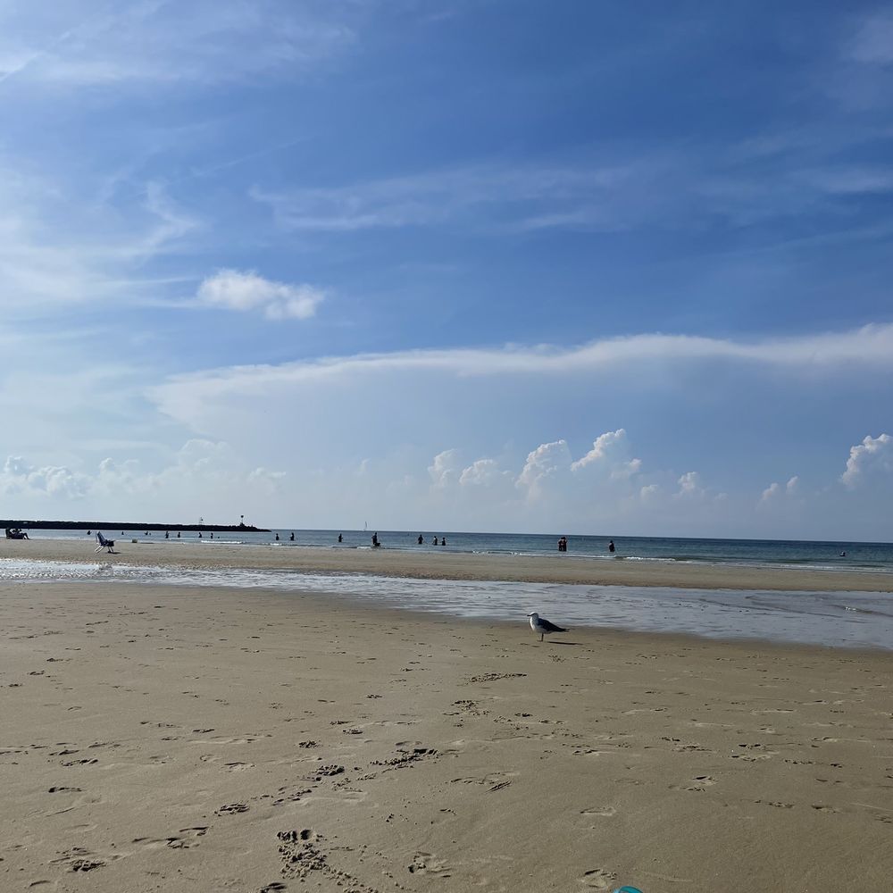 Mayflower Beach Cape Cod Map | Best Flower Site