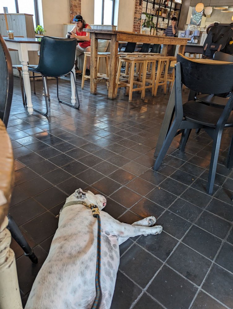 GOOD ROOTS - Updated August 2024 - 5 Severn St, Worcester, United ...