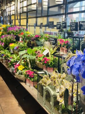 FORTINOS - Updated October 2025 - 50 Dundurn Street S, Hamilton ...