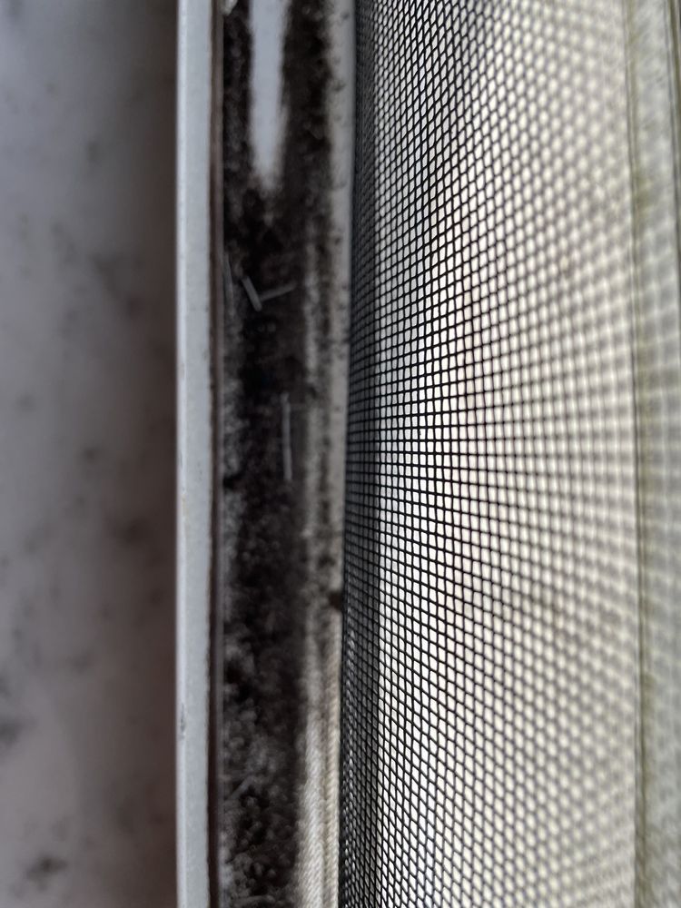 SABRINAS ATLANTIC WINDOW CLEANING AND PRESSURE CLEANING - Updated ...