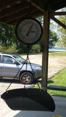 BUSH NECK FARM - Updated April 2024 - 14 Photos - 1502 Bush Neck Rd ...