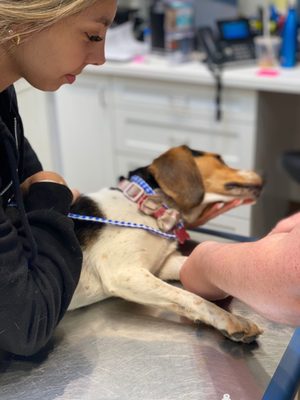 DARLINGTON VETERINARY HOSPITAL - Updated September 2025 - 58 Photos ...