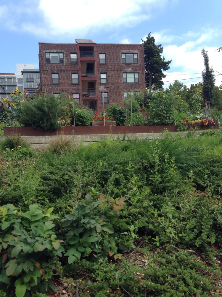 SUMMIT SLOPE PARK - Updated May 2026 - 200 Summit Ave E, Seattle ...