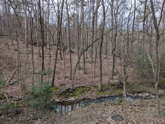 ALLSOPP PARK - Updated December 2025 - 3700 Cedar Hill Rd, Little Rock ...