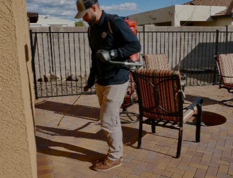 CAPE PEST CONTROL - Updated October 2025 - Request a Quote - 1256 S ...