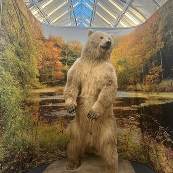 SCHEELS - Updated January 2026 - 139 Photos & 112 Reviews - 6503 W ...