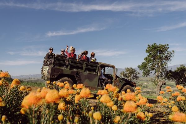 HIGHLINE ADVENTURES - Updated January 2025 - 91 Photos & 79 Reviews ...