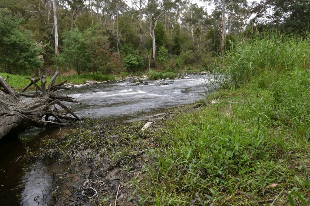 WARRANDYTE STATE PARK - Pound Bend Rd, Warrandyte Victoria, Australia ...