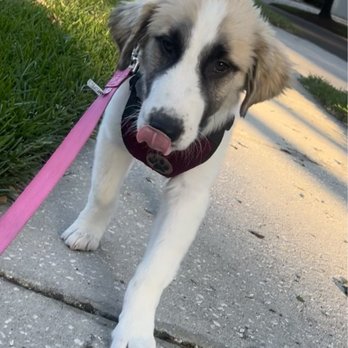 MERCY FULL PROJECT - Updated December 2025 - 31 Photos & 27 Reviews ...