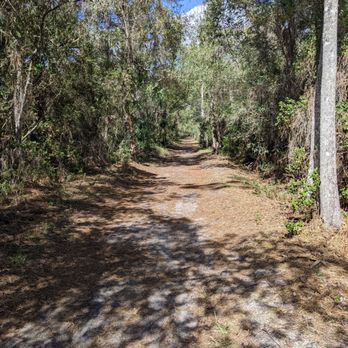 LITTLE BIG ECON STATE FOREST - Updated June 2025 - 171 Photos & 25 Reviews - 1350 Snow Hill Rd ...