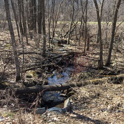 FISH LAKE REGIONAL PARK - Updated July 2025 - 14900 Bass Lake Rd, Maple ...