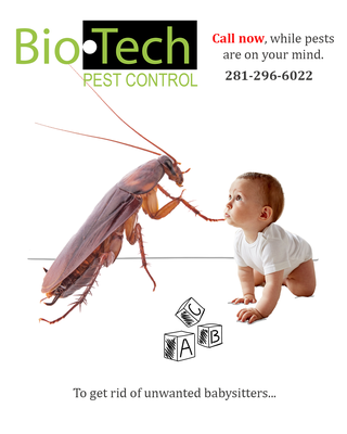 BIO-TECH PEST CONTROL - Updated October 2025 - 50 Photos & 64 Reviews ...