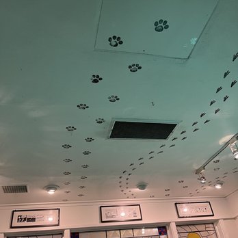 SNOOPY’S HOME ICE - REDWOOD EMPIRE ICE ARENA - Updated January 2025 ...