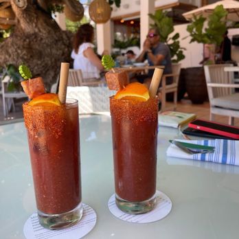 HAU TREE - Updated 2024 - 2171 Photos & 675 Reviews - 2863 Kalakaua Ave ...