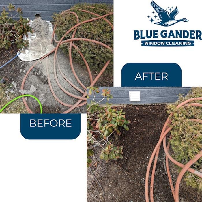 BLUE GANDER WINDOW CLEANING - Updated December 2025 - 33 Photos & 17 ...