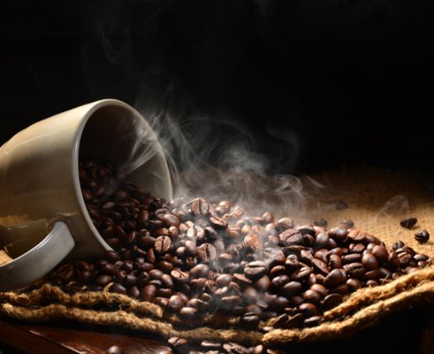 JAVA MOMMA - Updated September 2025 - 27 Photos - 1426 Ferry St ...