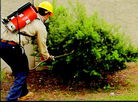 CORKY’S PEST CONTROL - Updated December 2025 - 48 Photos & 585 Reviews ...