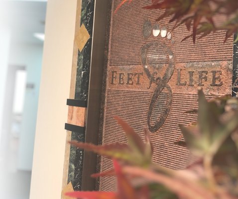 FEET FOR LIFE - Updated September 2025 - 50 Reviews - 8637 Delmar Blvd ...