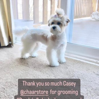 CHAAR - Updated October 2025 - 11 Photos & 42 Reviews - 1635 Airport Rd ...