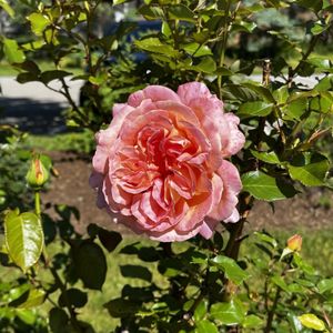 CAROLINE CELLARS - Updated December 2025 - 135 Photos & 129 Reviews ...