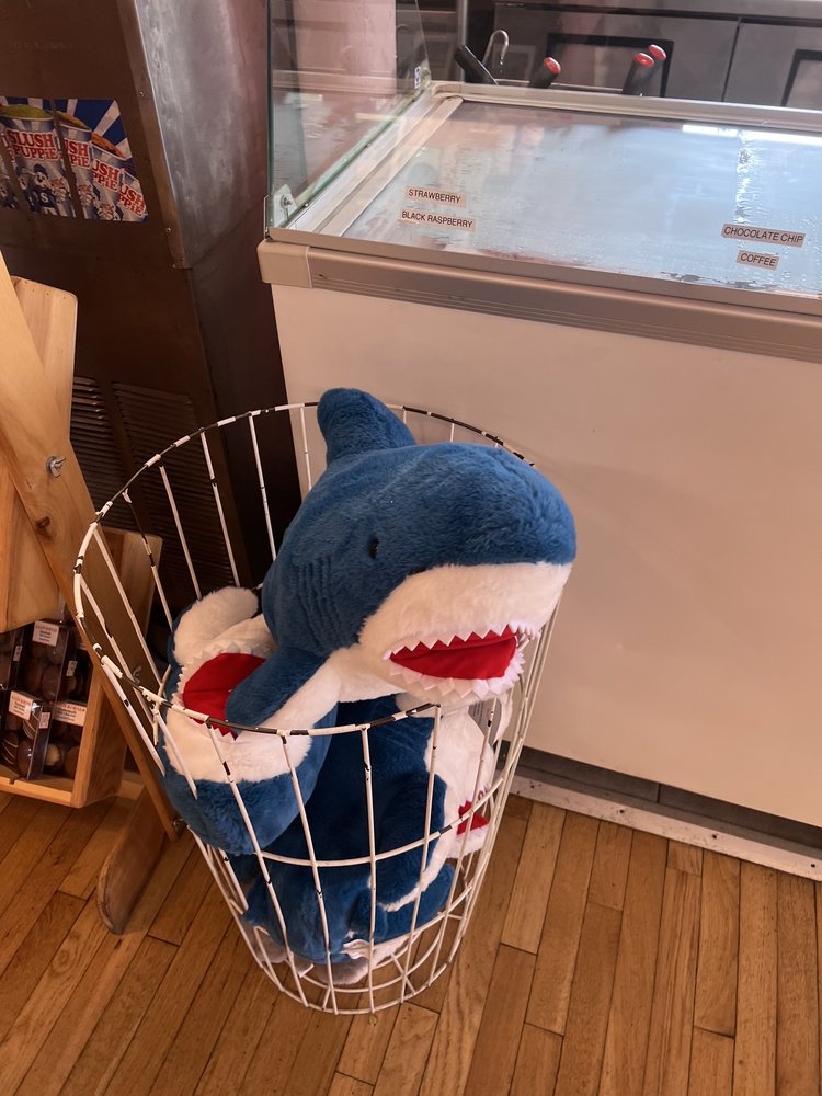 KANDY KORNER - Updated August 2025 - 150 Photos & 74 Reviews - 474 Main ...