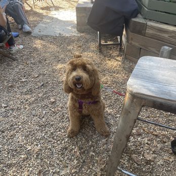 LADYBIRD GROVE & MESS HALL - New American Restaurant at 684 John Wesley ...