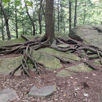 PARC DES CHUTES-DE-LA-CHAUDIÈRE - Updated November 2024 - 52 Photos ...