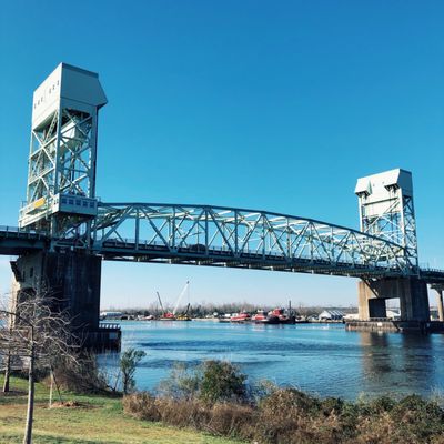 DRAM TREE PARK - 13 Photos - W Castle St, Wilmington, North Carolina ...