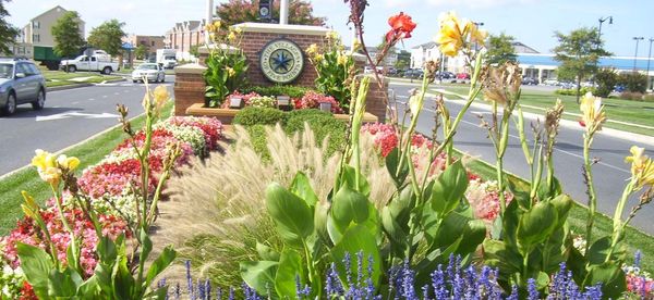 SPOSATO LANDSCAPE - Updated May 2024 - 31 Photos & 11 Reviews - 16181 ...