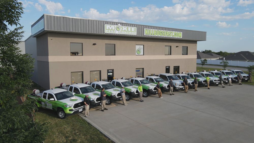 MOXIE PEST CONTROL - Updated October 2025 - 37 Reviews - 1251 NW Pamela ...