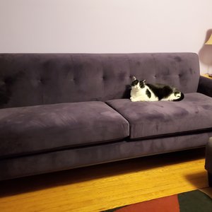 DESIGN PLUS CONSIGNMENT GALLERY - 128 Photos & 63 Reviews - 733 ...