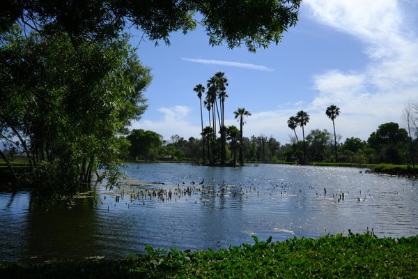 RANCHO JURUPA PARK - Updated May 2025 - 296 Photos & 187 Reviews - 4800 ...