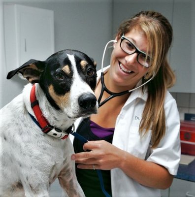 WALK-IN VETERINARY CARE - Updated October 2025 - 11 Photos & 32 Reviews ...
