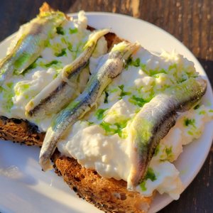 BAR RAVAL - 615 Photos & 297 Reviews - Spanish - 505 College Street ...